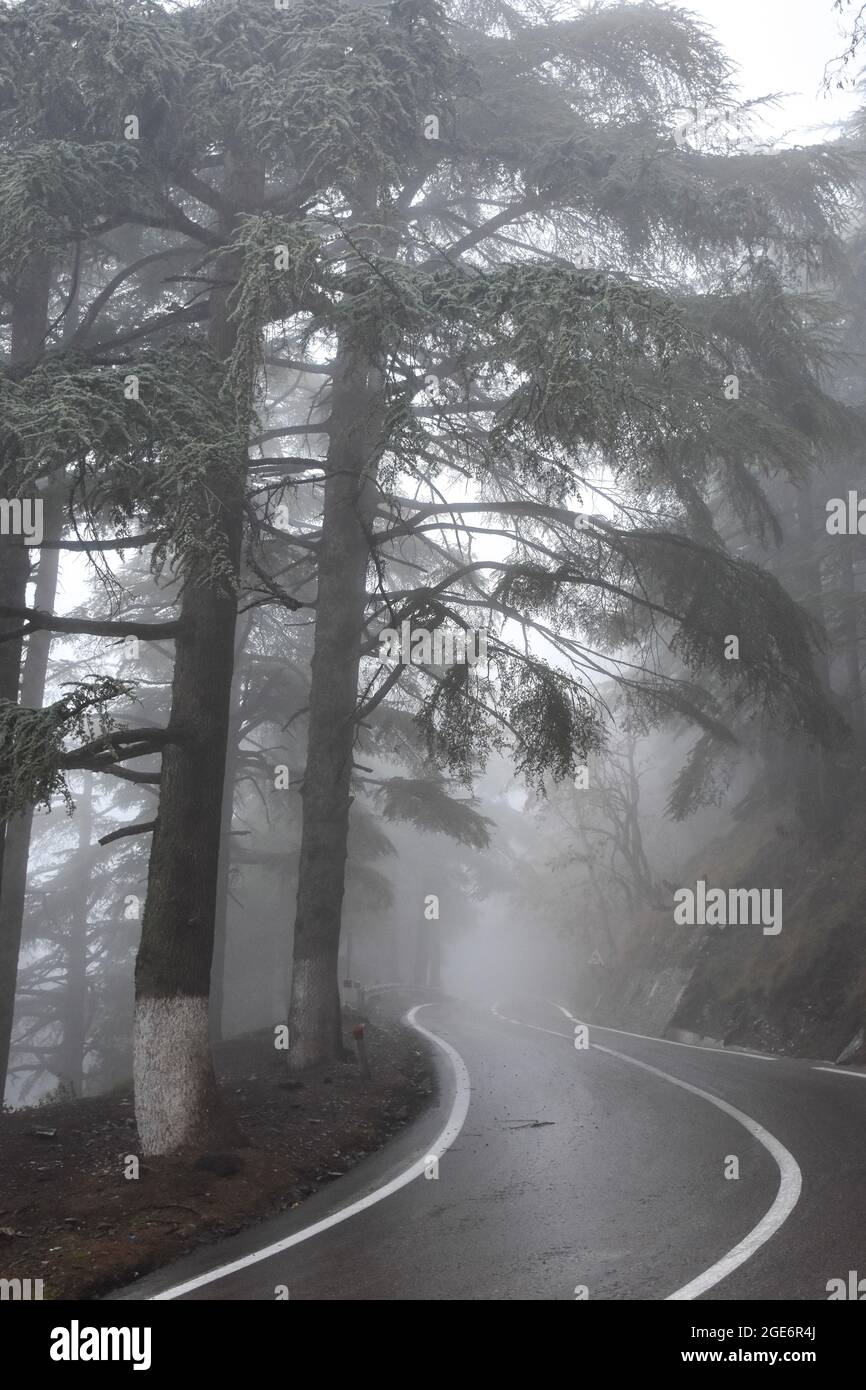 Chrea algeria hi-res stock photography and images - Alamy