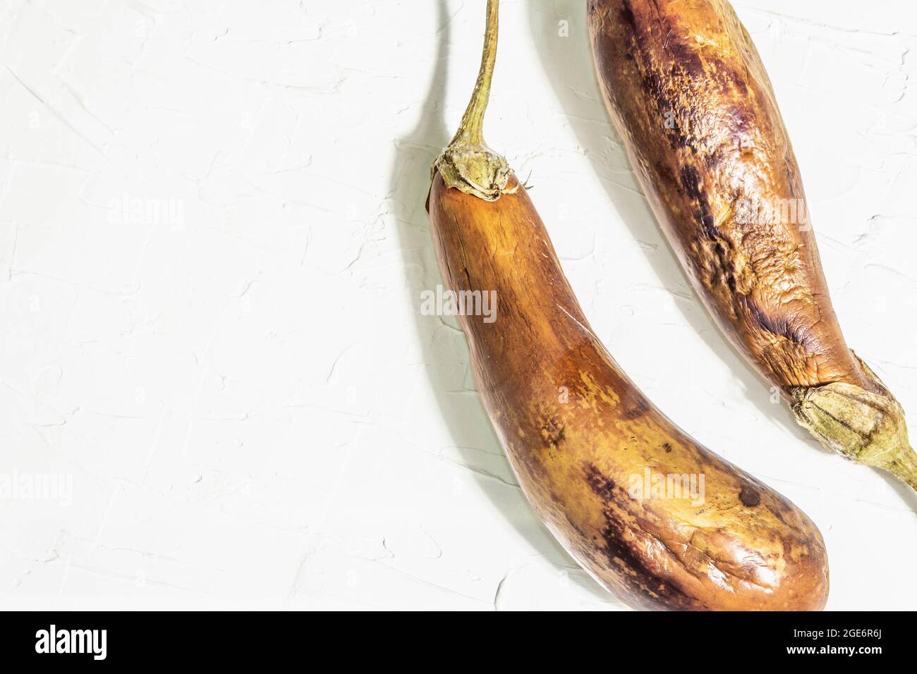 Decayed, rotten eggplant. Old vegetables with mold. Hard light, dark ...