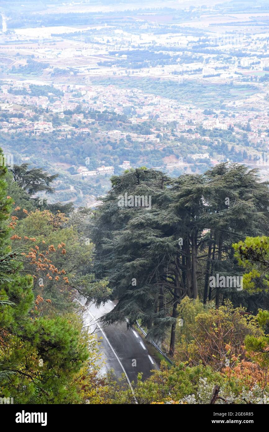 Chrea national park hi-res stock photography and images - Alamy