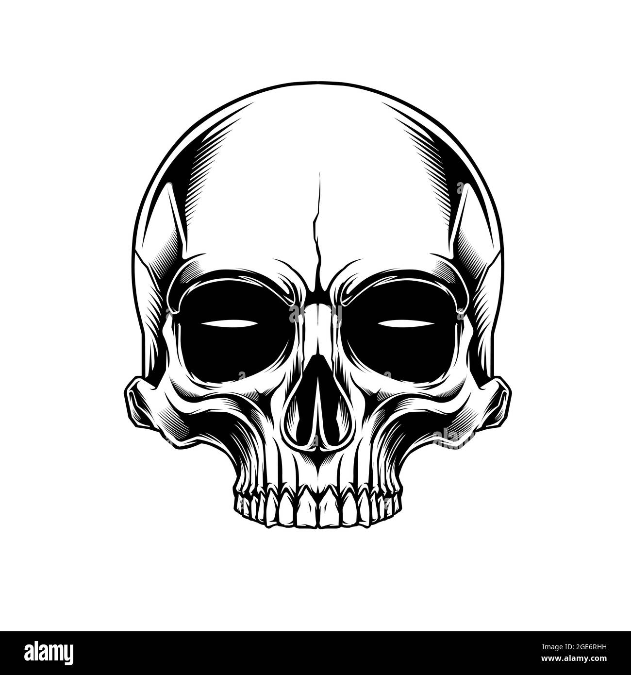 Drawing human skull in Cut Out Stock Images & Pictures - Alamy