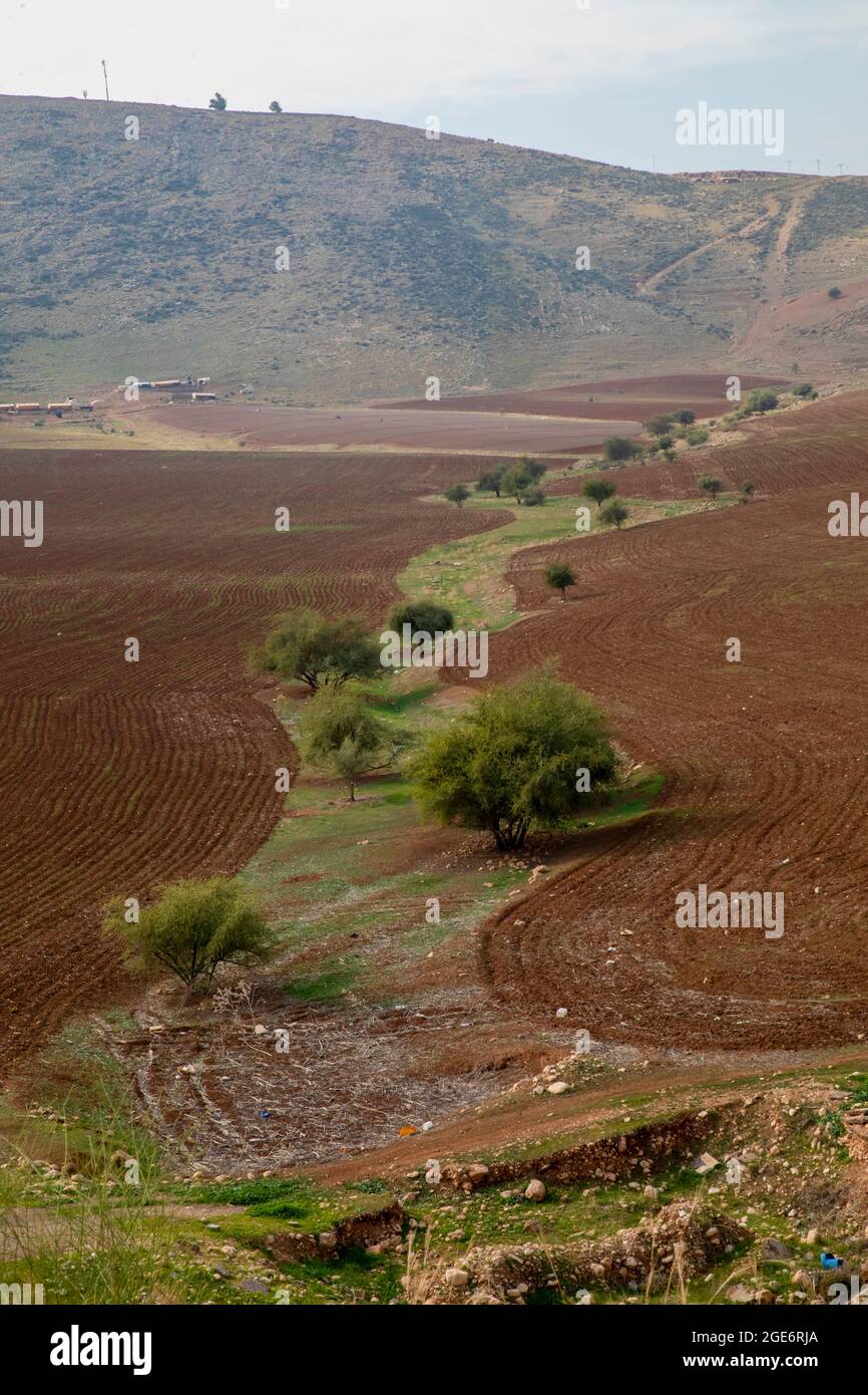 Central Jordan Valley. The Jordan Rift Valley, also Jordan Valley also ...