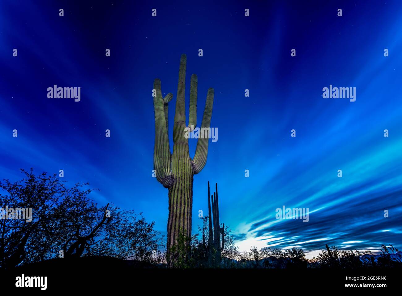 Sonoran Desert Sunset Arizona Stock Photo - Alamy