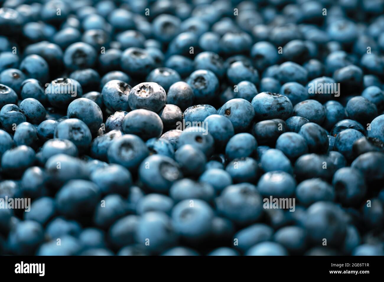 Macro photography blueberry hi-res stock photography and images - Alamy