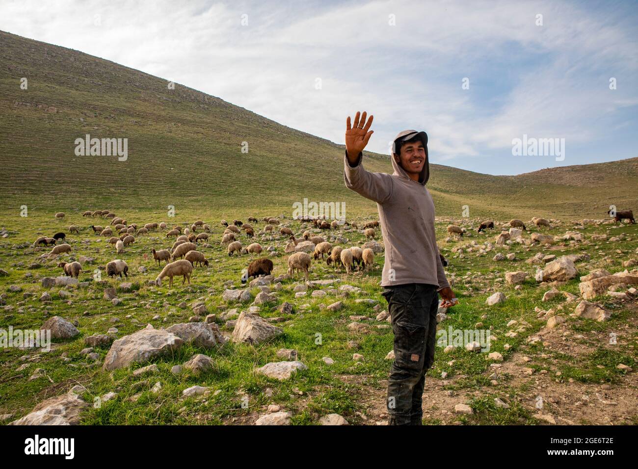A Palestinian shepherd with his herd of sheep in the Jordan River ...
