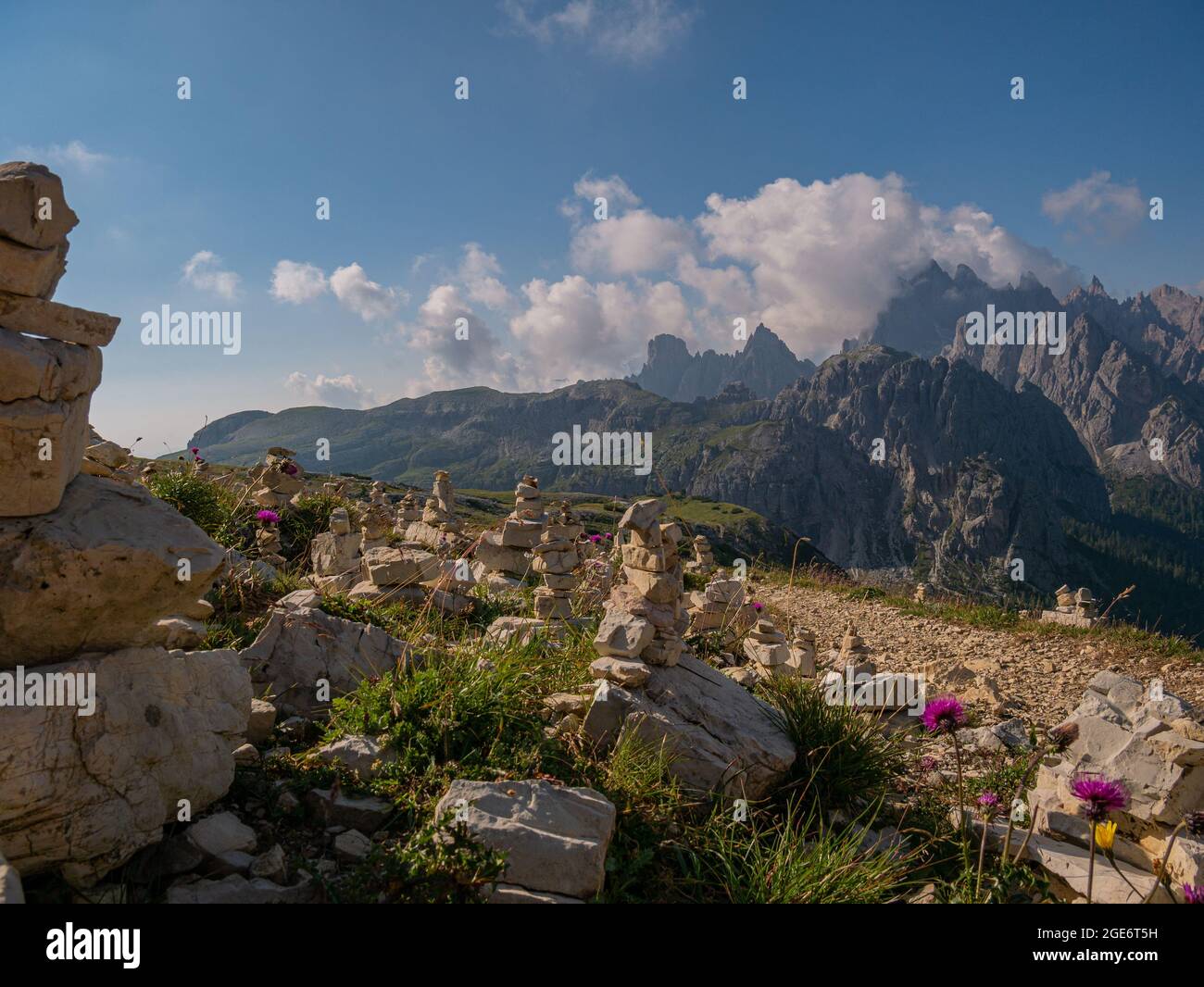 Flowers and cairns against a beautiful alpine backdrop Stock Photo - Alamy