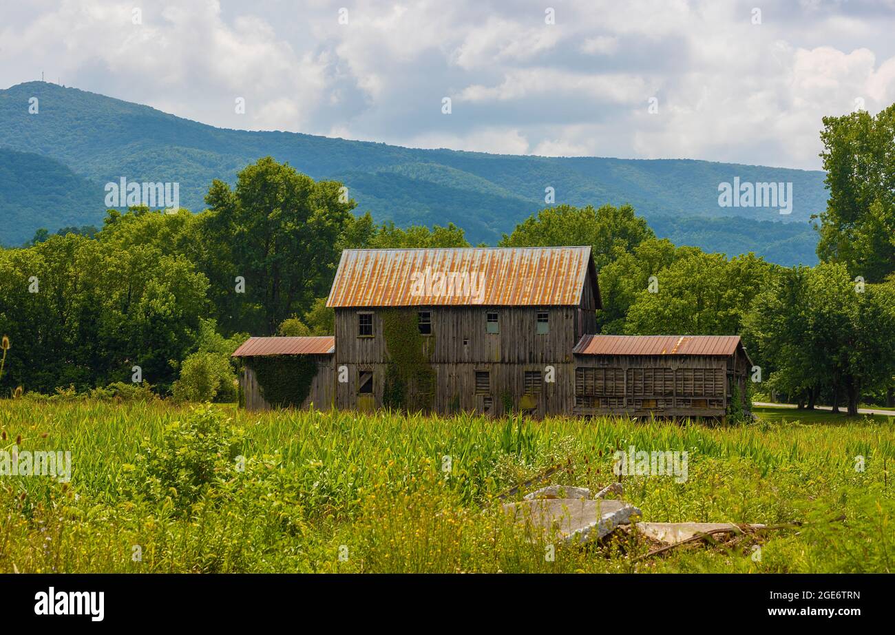 Barn sits on the edge of a corn field in rural Tennessee, USA Stock ...