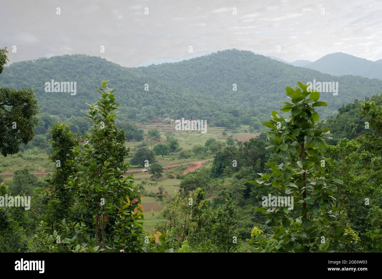 A scenic view at Daringbadi, Odisha Stock Photo - Alamy