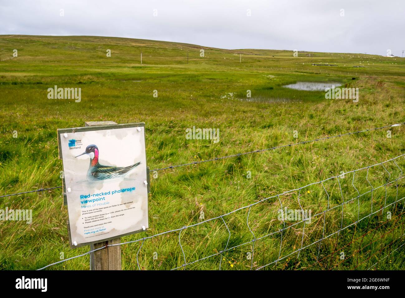Sign for a red-necked phalarope viewpoint at the Mires of Houbie on the ...