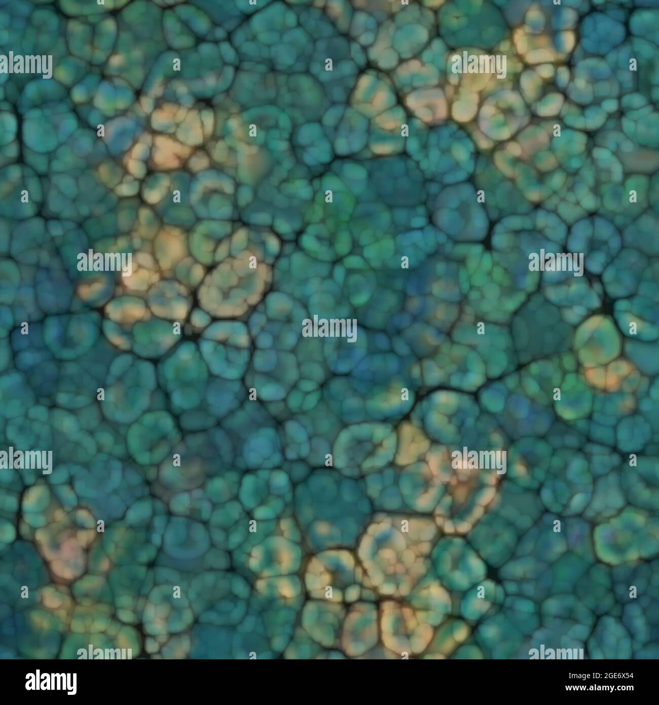 Lichen, Mushroom, Fungus family of different colors as organic seamless ...