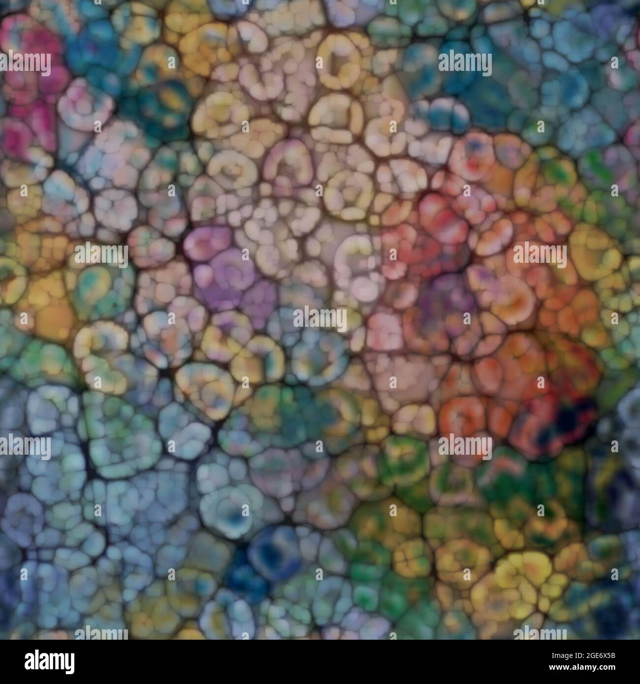 Lichen, Mushroom, Fungus family of different colors as organic seamless ...