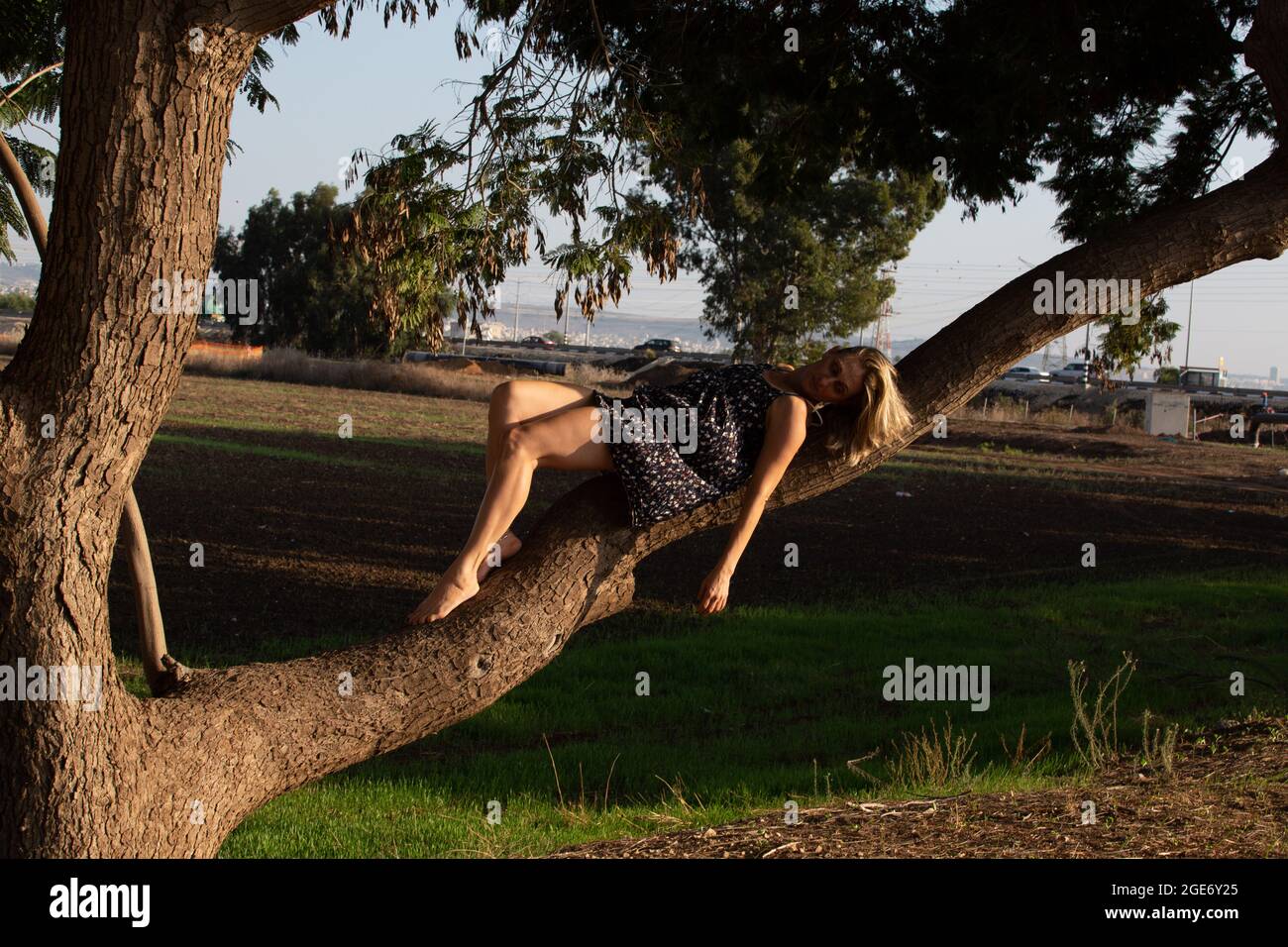 Young blonde woman is protecting a tree Woman Stock Photo - Alamy
