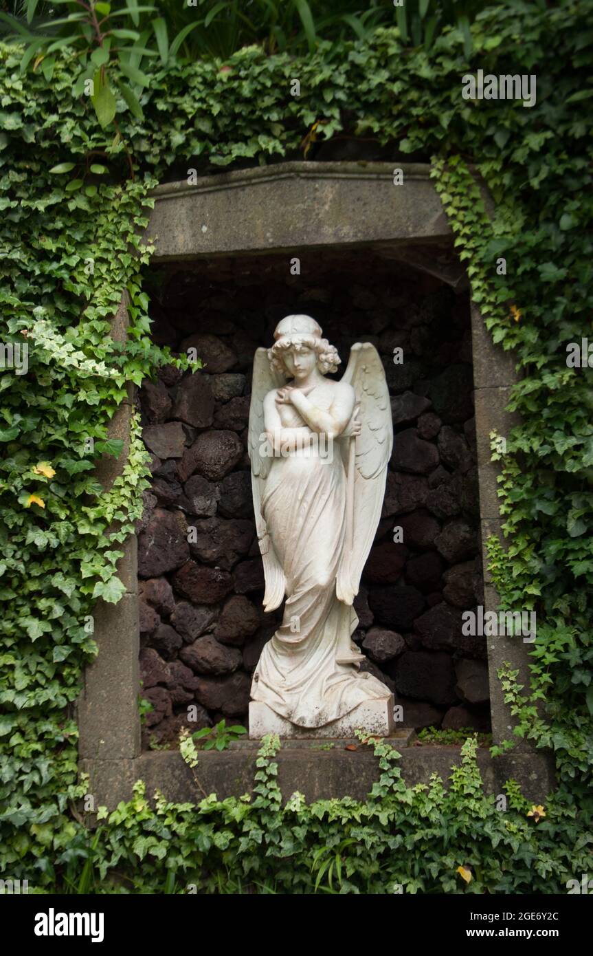 Funchal madeira monte palace gardens hi-res stock photography and ...