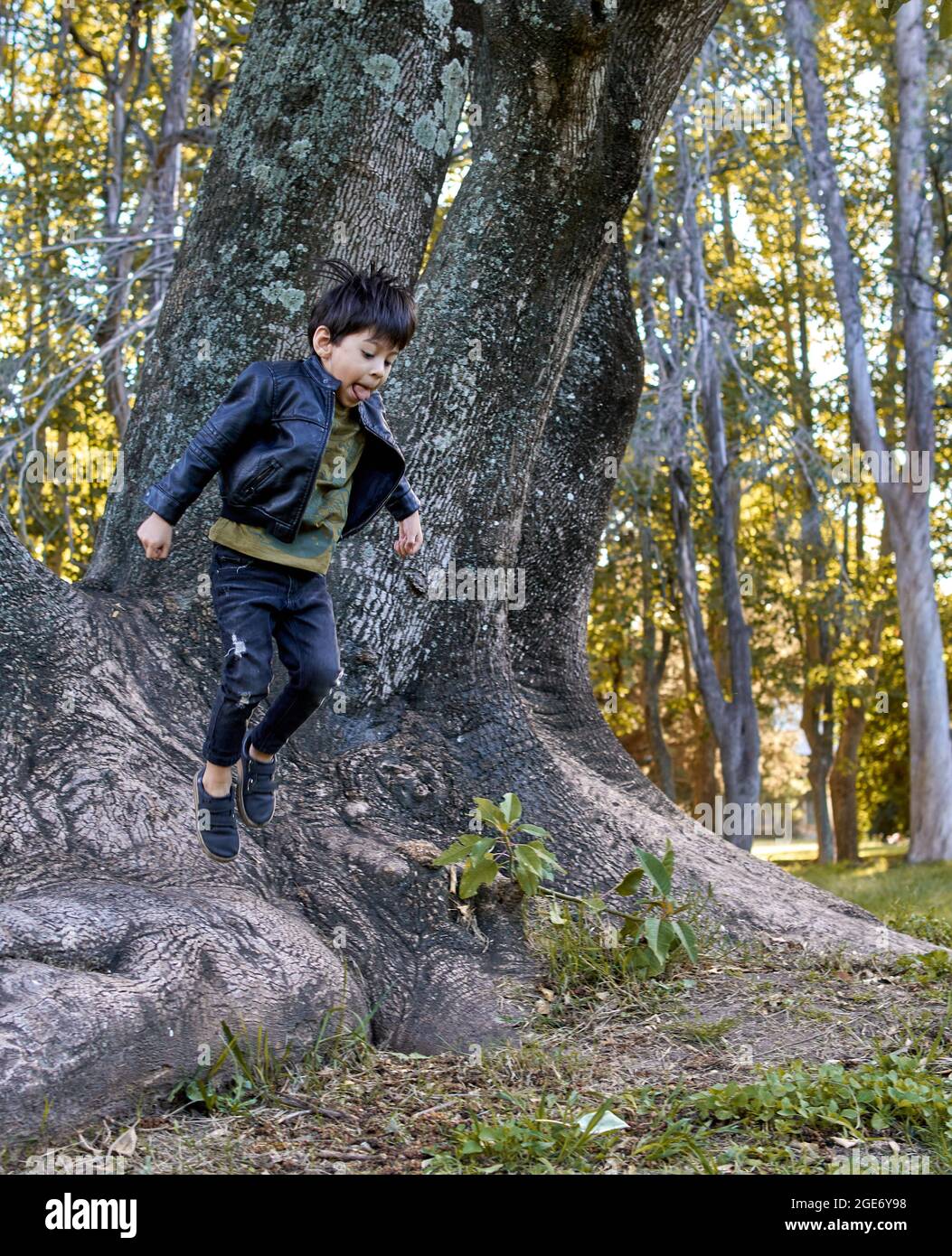 Latino kid play forest hi-res stock photography and images - Alamy