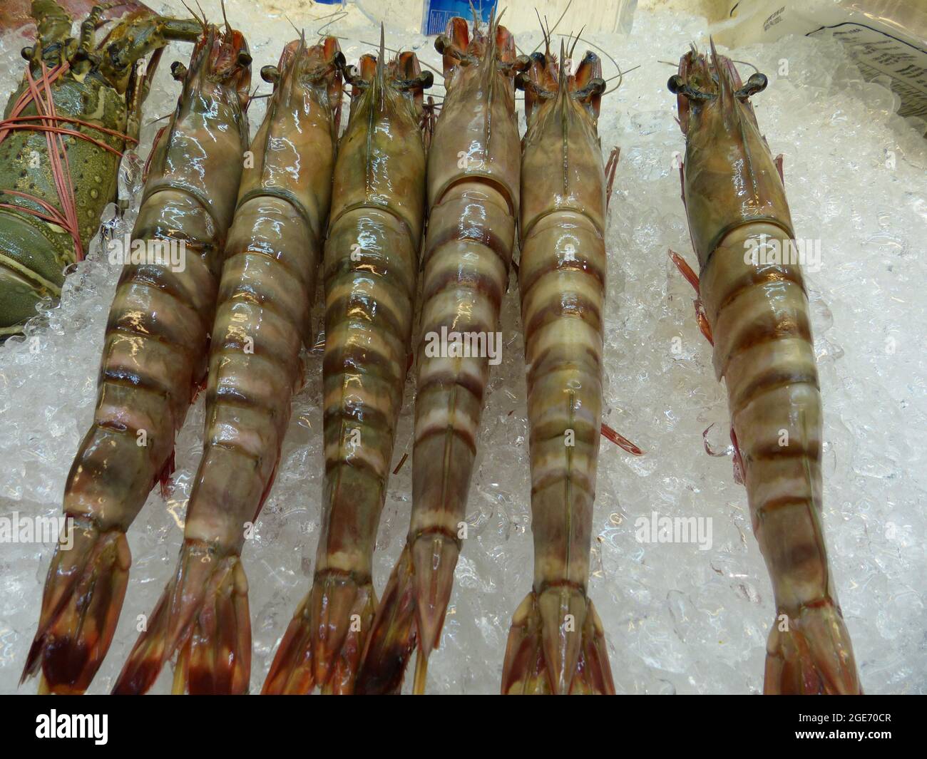 Singapore, Newtown Circle, fresh prawns Stock Photo - Alamy