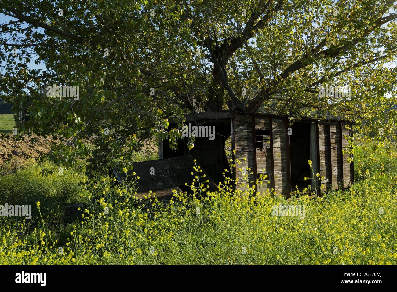 Tren antiguo hi-res stock photography and images - Alamy