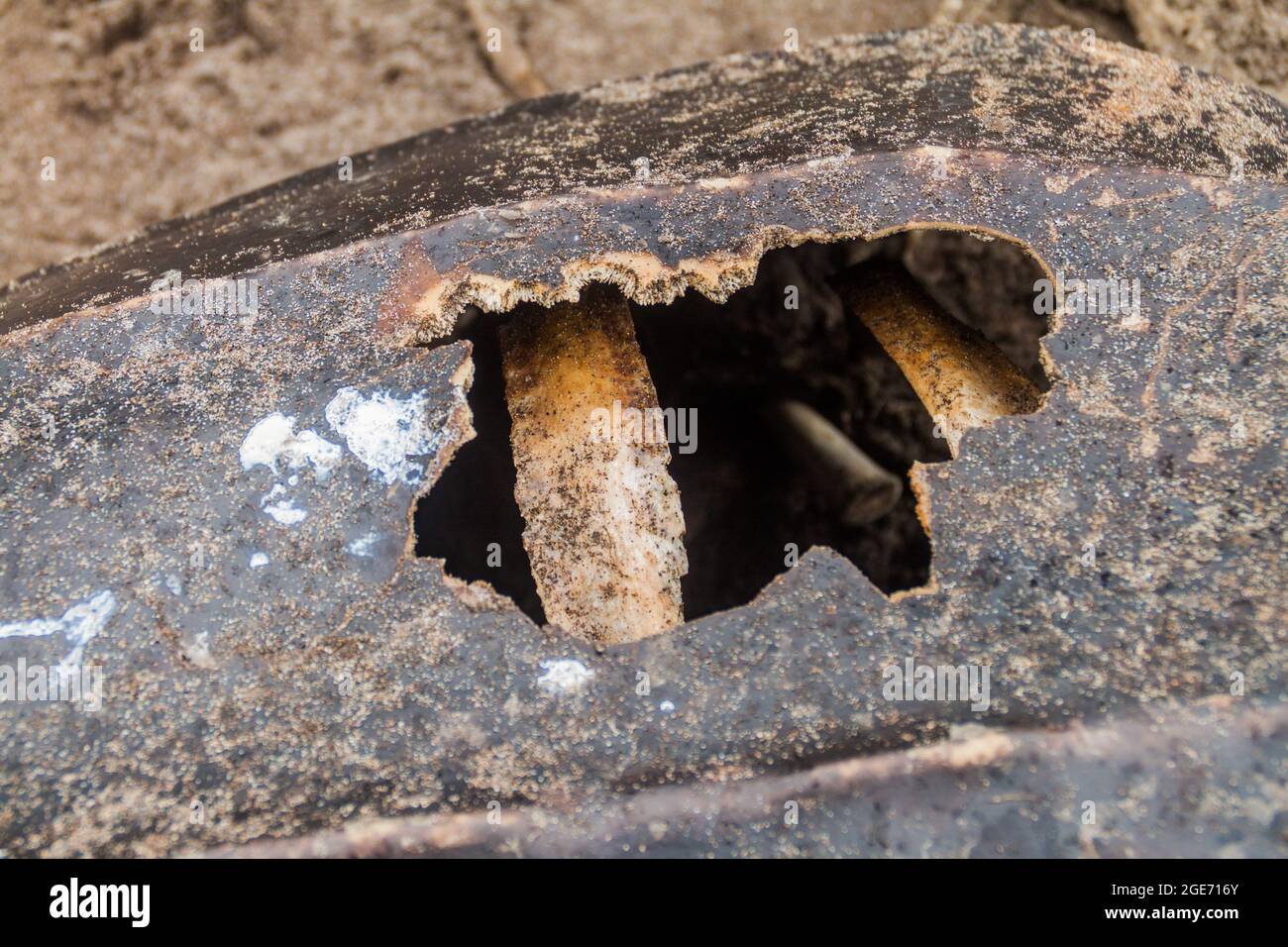 Broken shell of a dead Leatherback sea turtle Dermochelys coriacea at a ...
