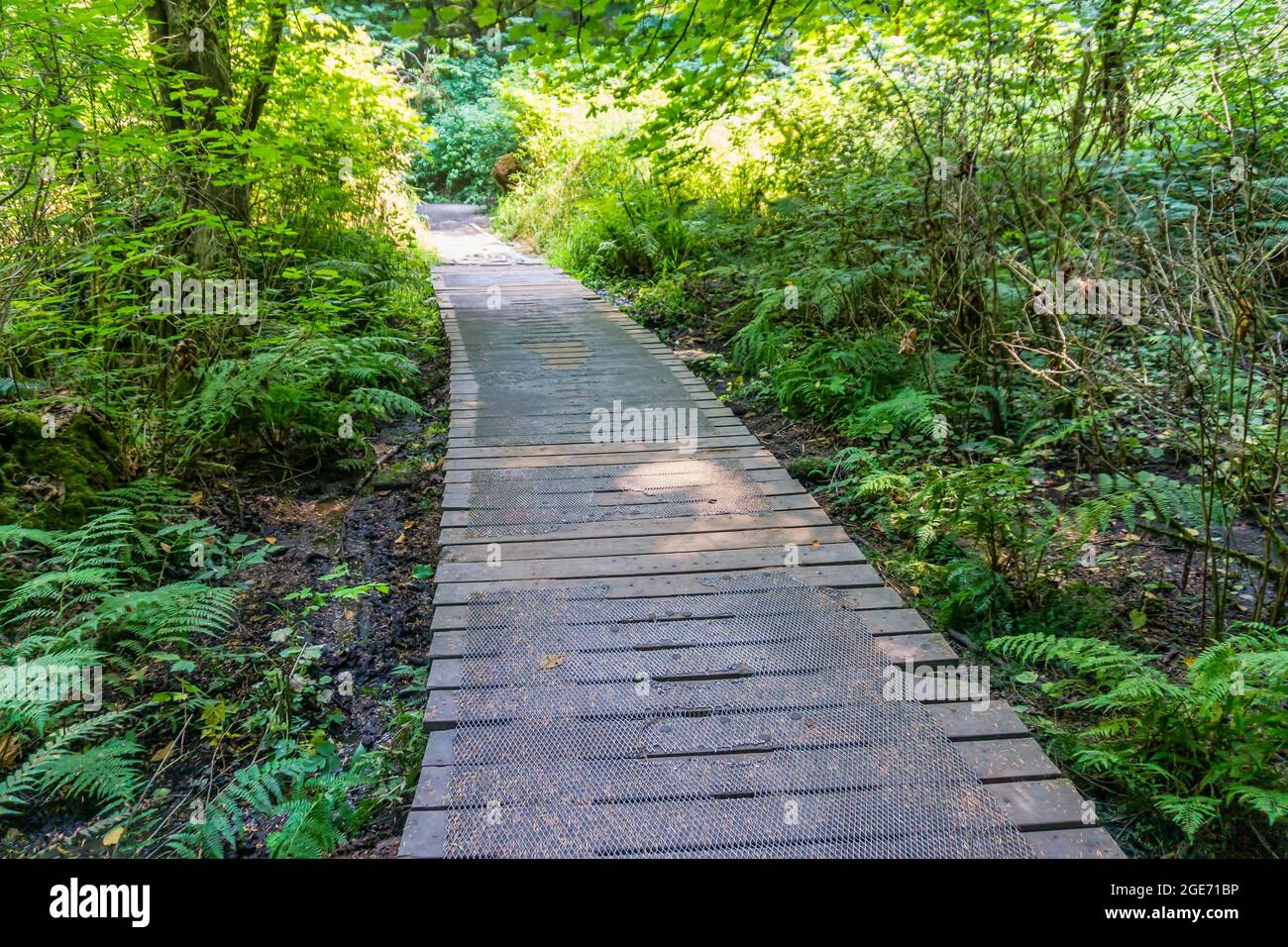 A wooden ramp at Dash Point State Park in Washington State Stock Photo ...