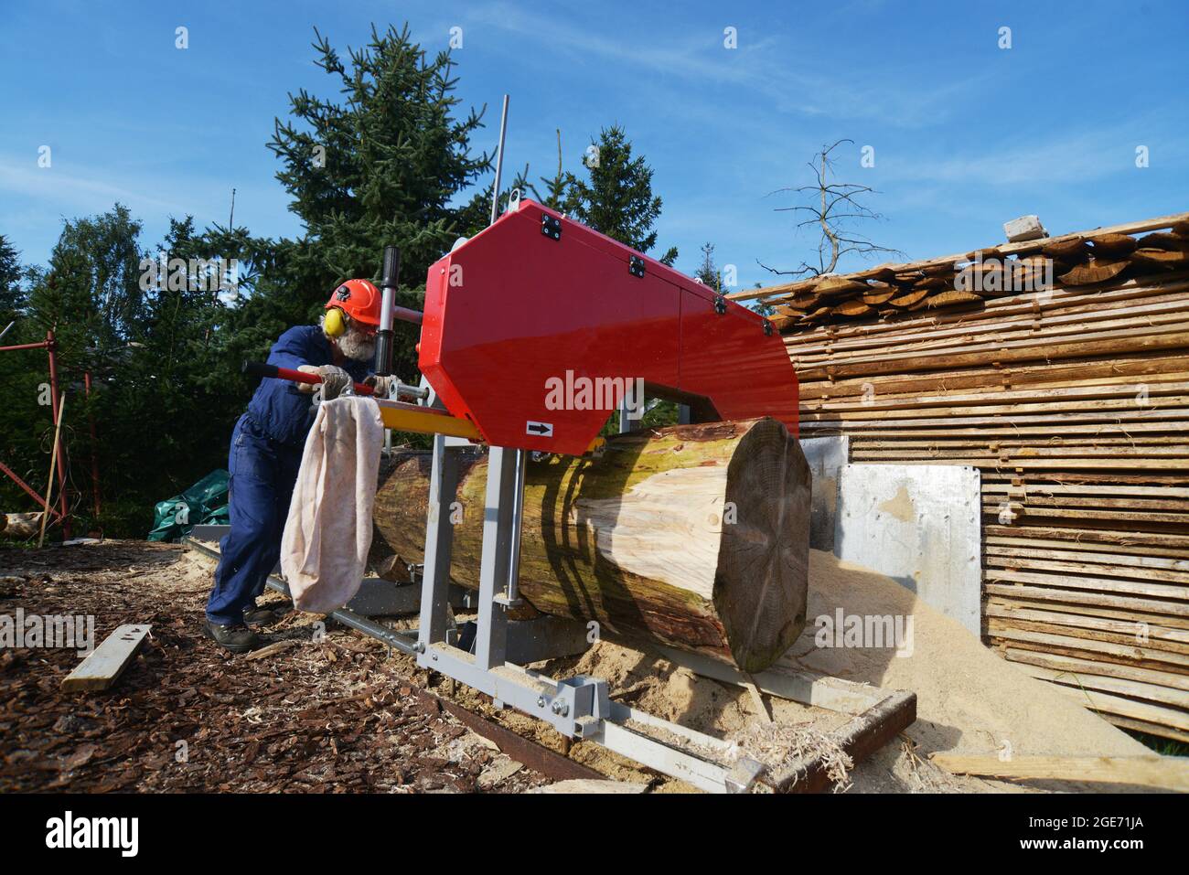 forestry worker with sawmill Stock Photo - Alamy