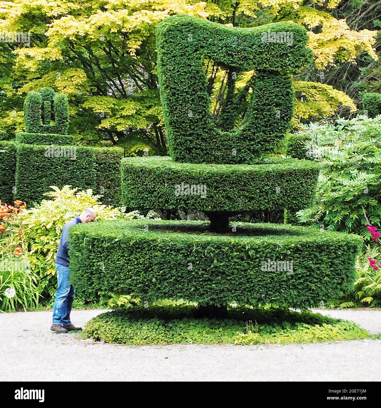 Topiary at Mount Stewart Stock Photo - Alamy