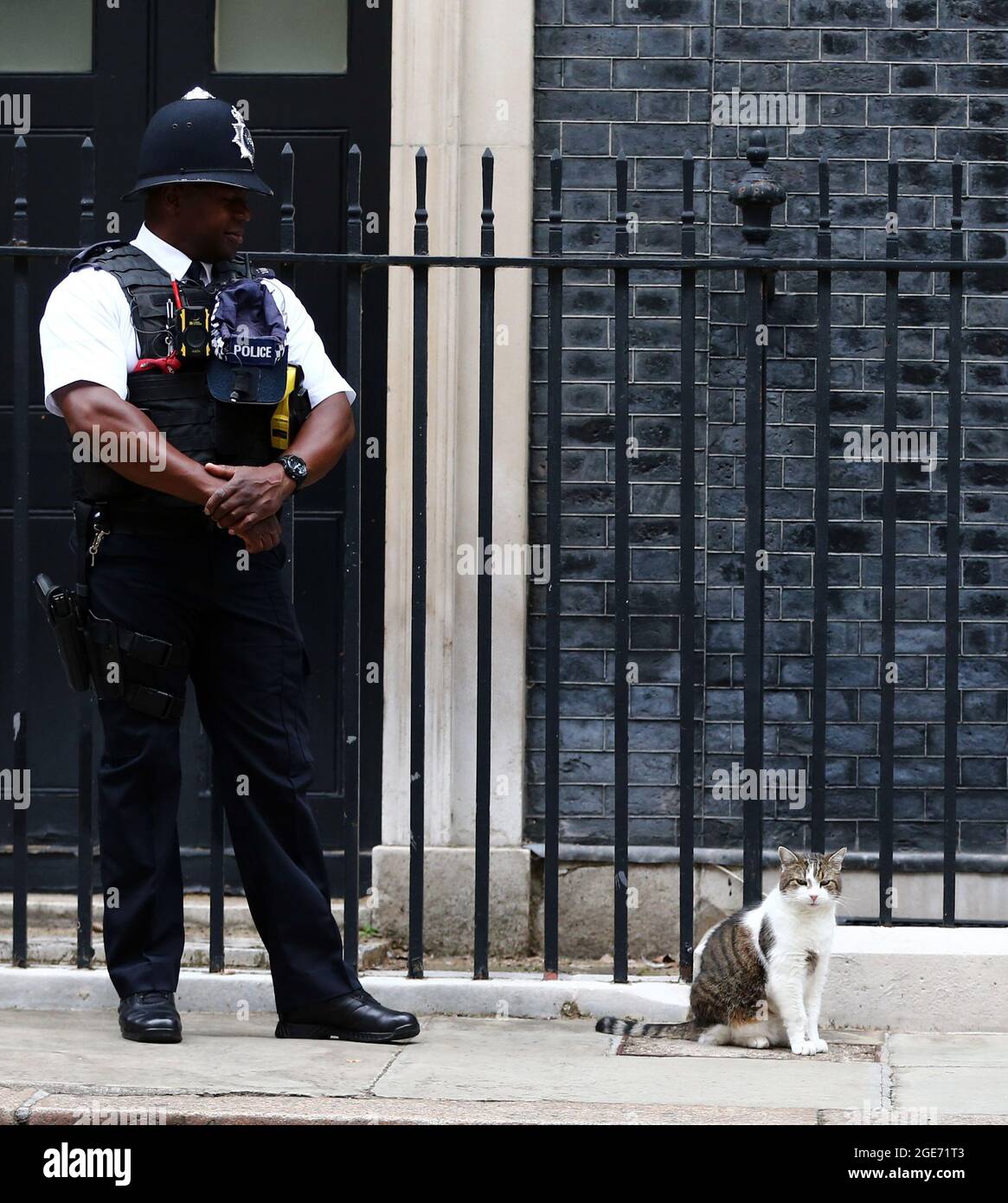 London, England, UK. 17th Aug, 2021. UK Prime Minister's office's cat ...