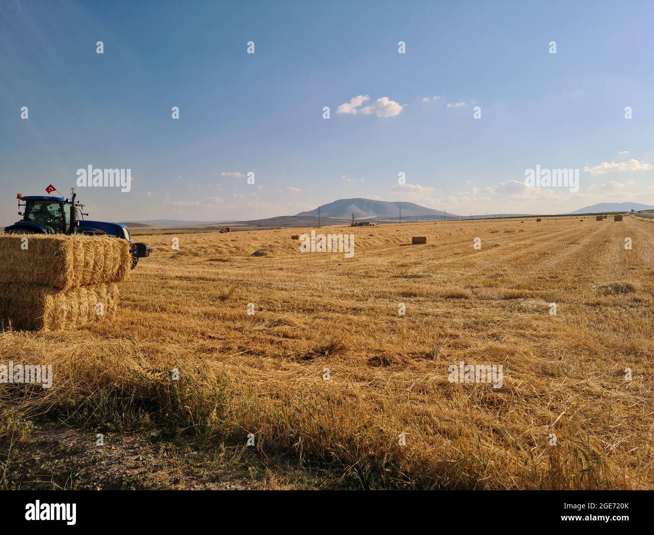 Tractor harvesting straw, straw field, straw bale Stock Photo - Alamy