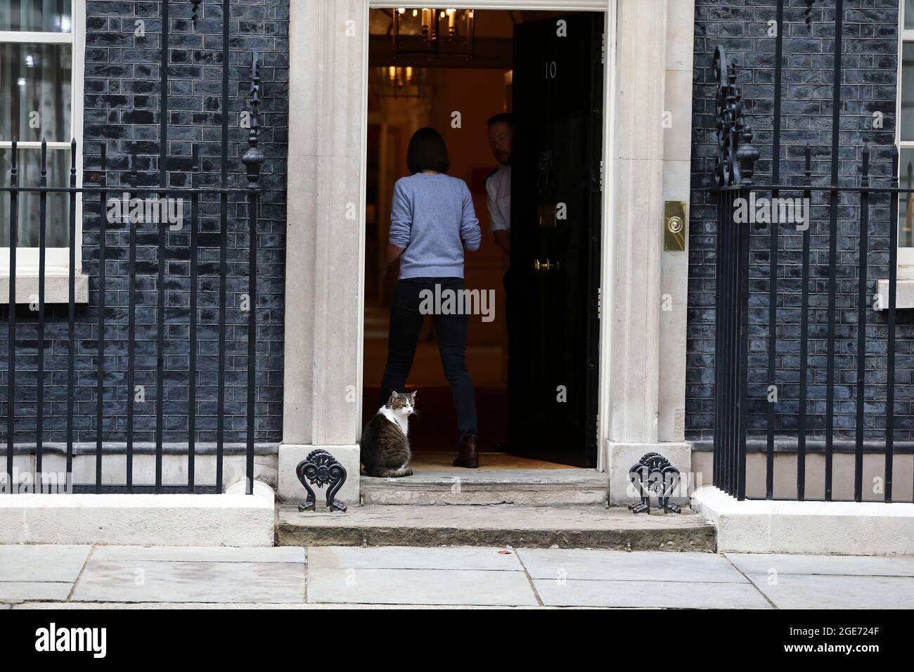 London, England, UK. 17th Aug, 2021. UK Prime Minister's office's cat ...