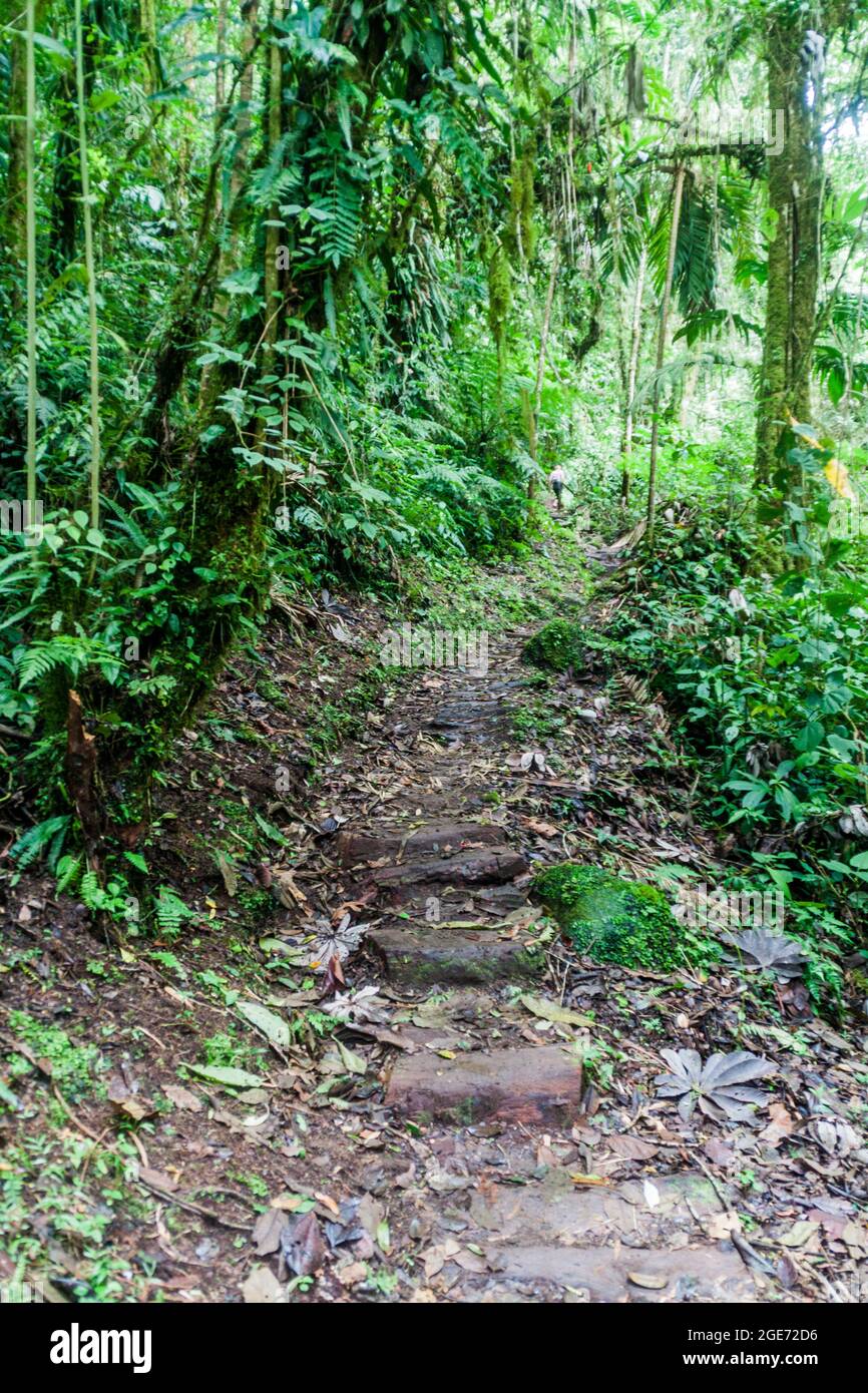 Lost Waterfalls hiking trail near Boquete, Panama Stock Photo - Alamy