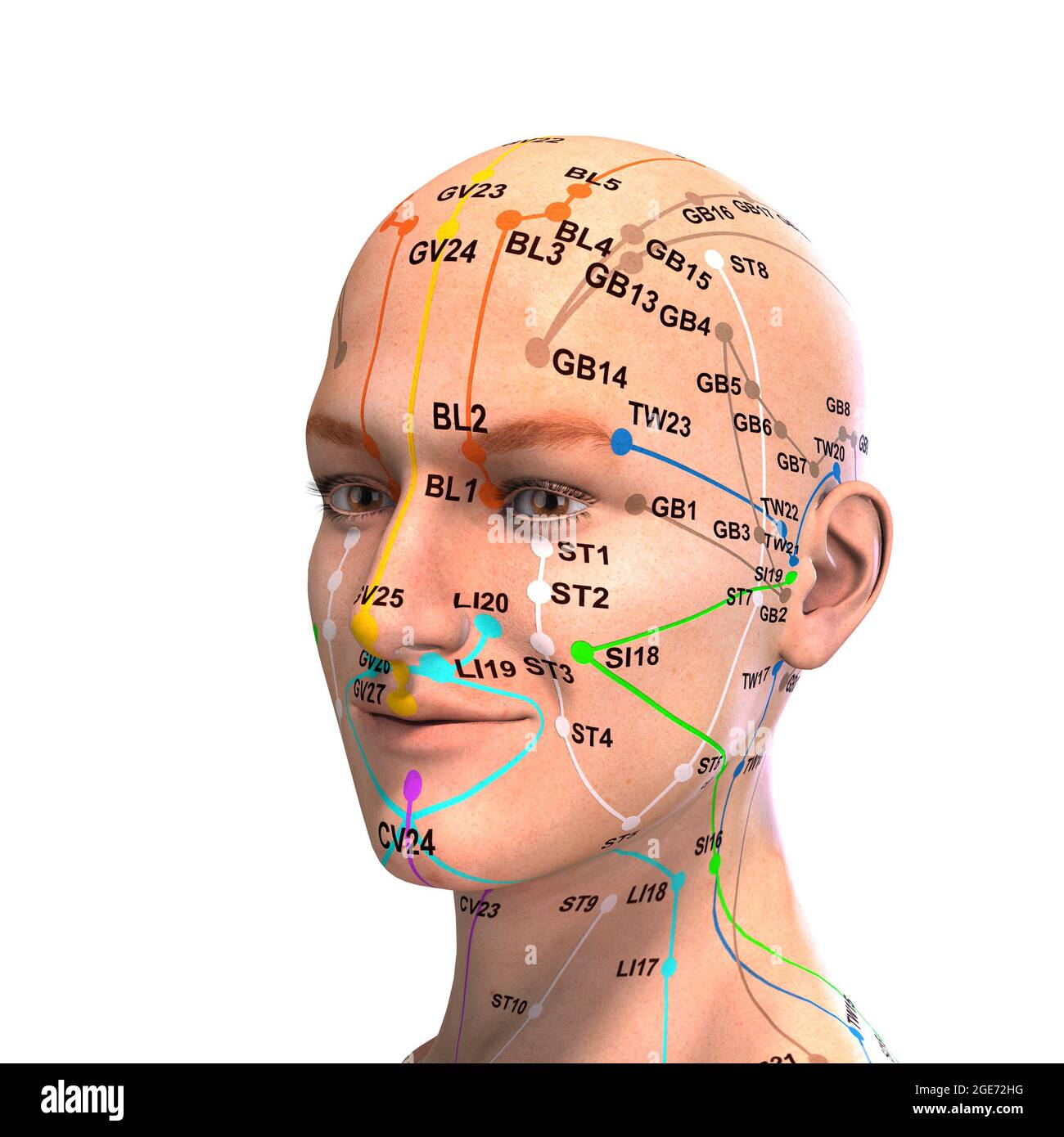 Acupuncture point illustration hi-res stock photography and images - Alamy