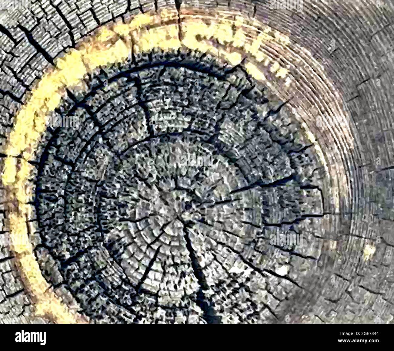Round wood texture, saw cut of a tree trunk, inside, circles, vector ...