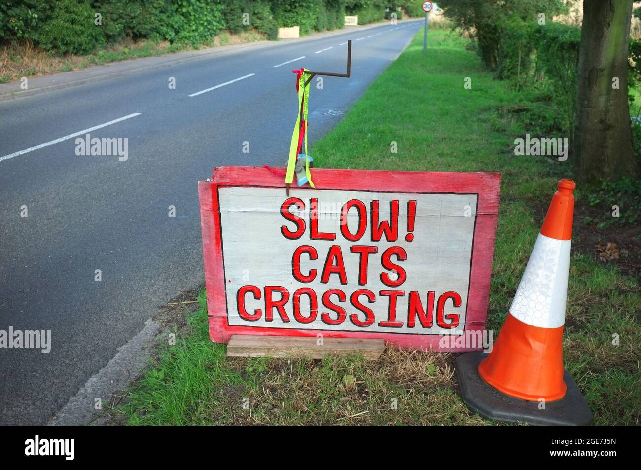 Slow cats crossing hi-res stock photography and images - Alamy