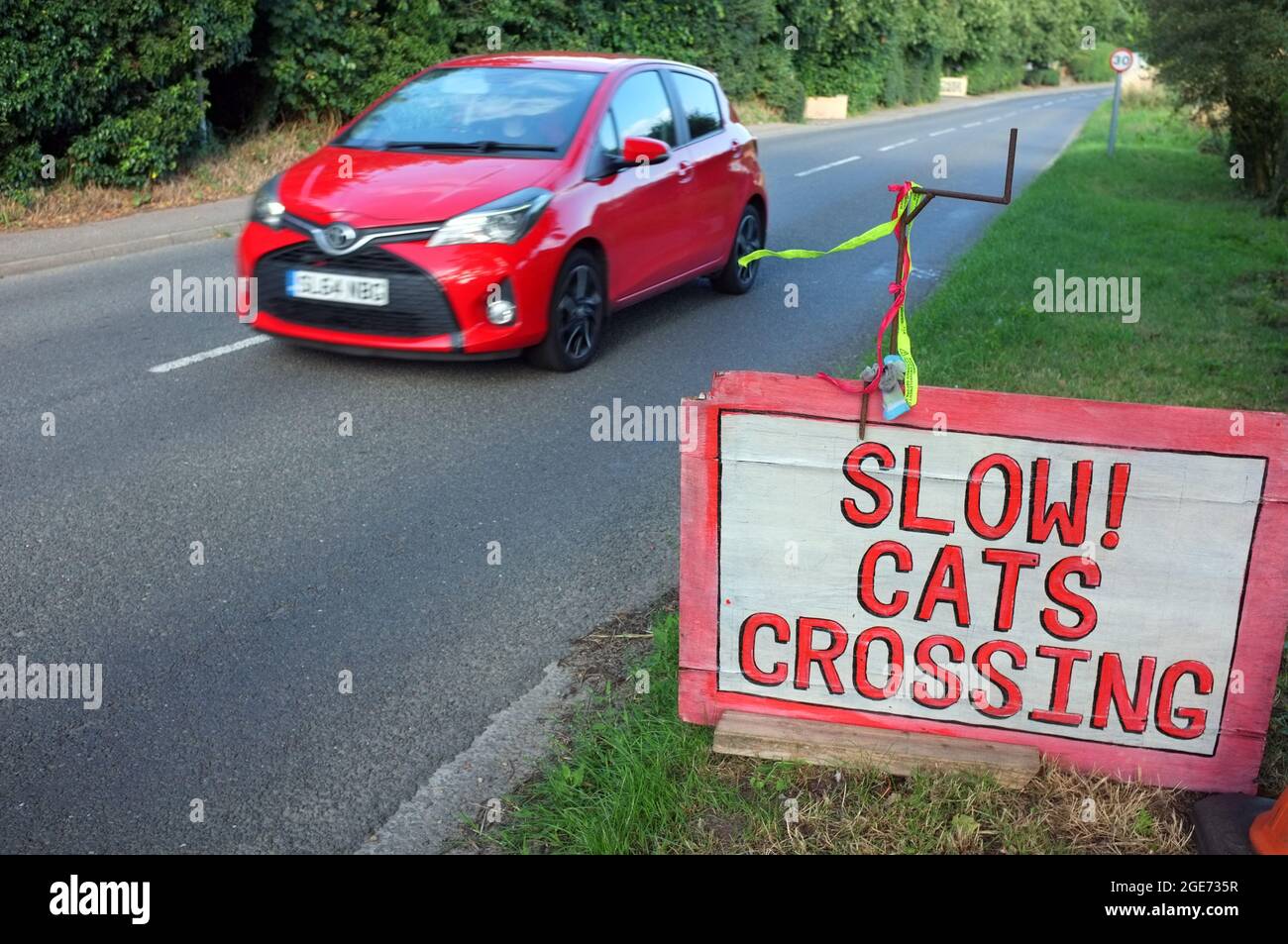 Slow cats crossing hi-res stock photography and images - Alamy