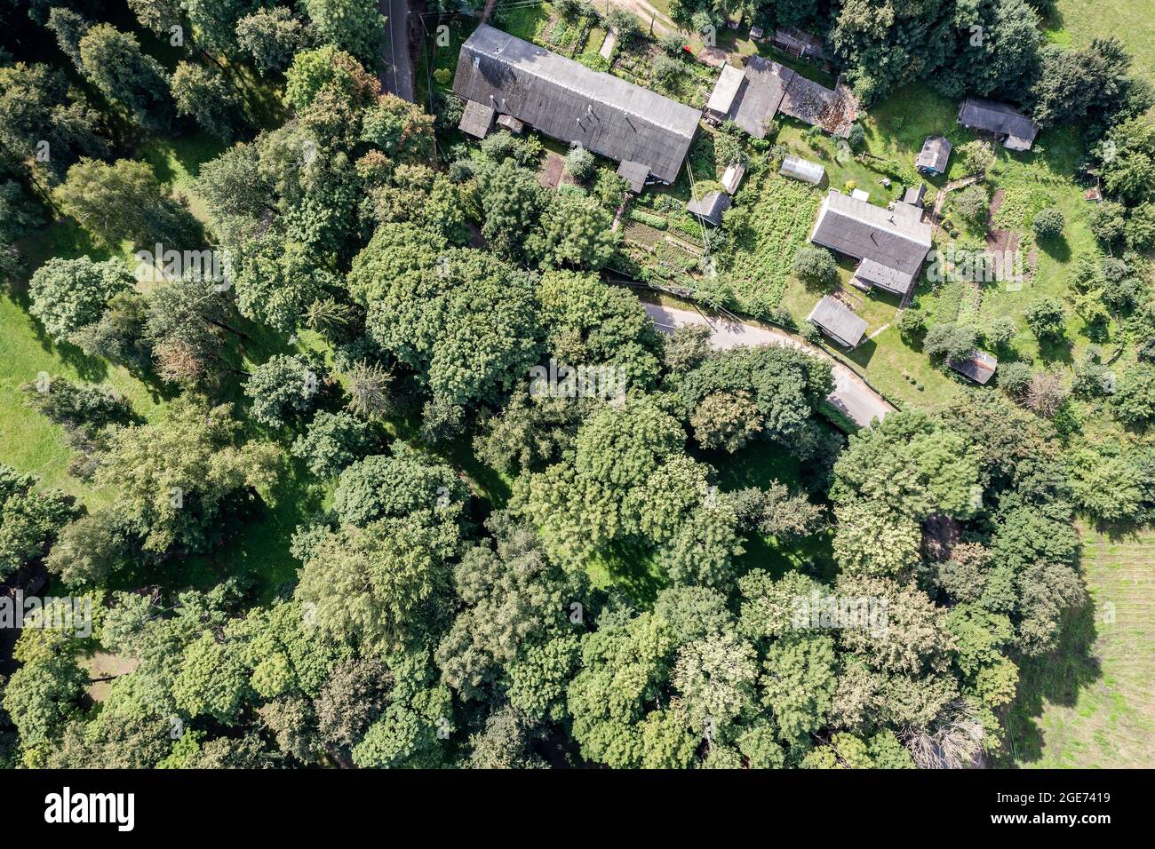 rural landscape with farm, green forest and field in sunny summer day ...