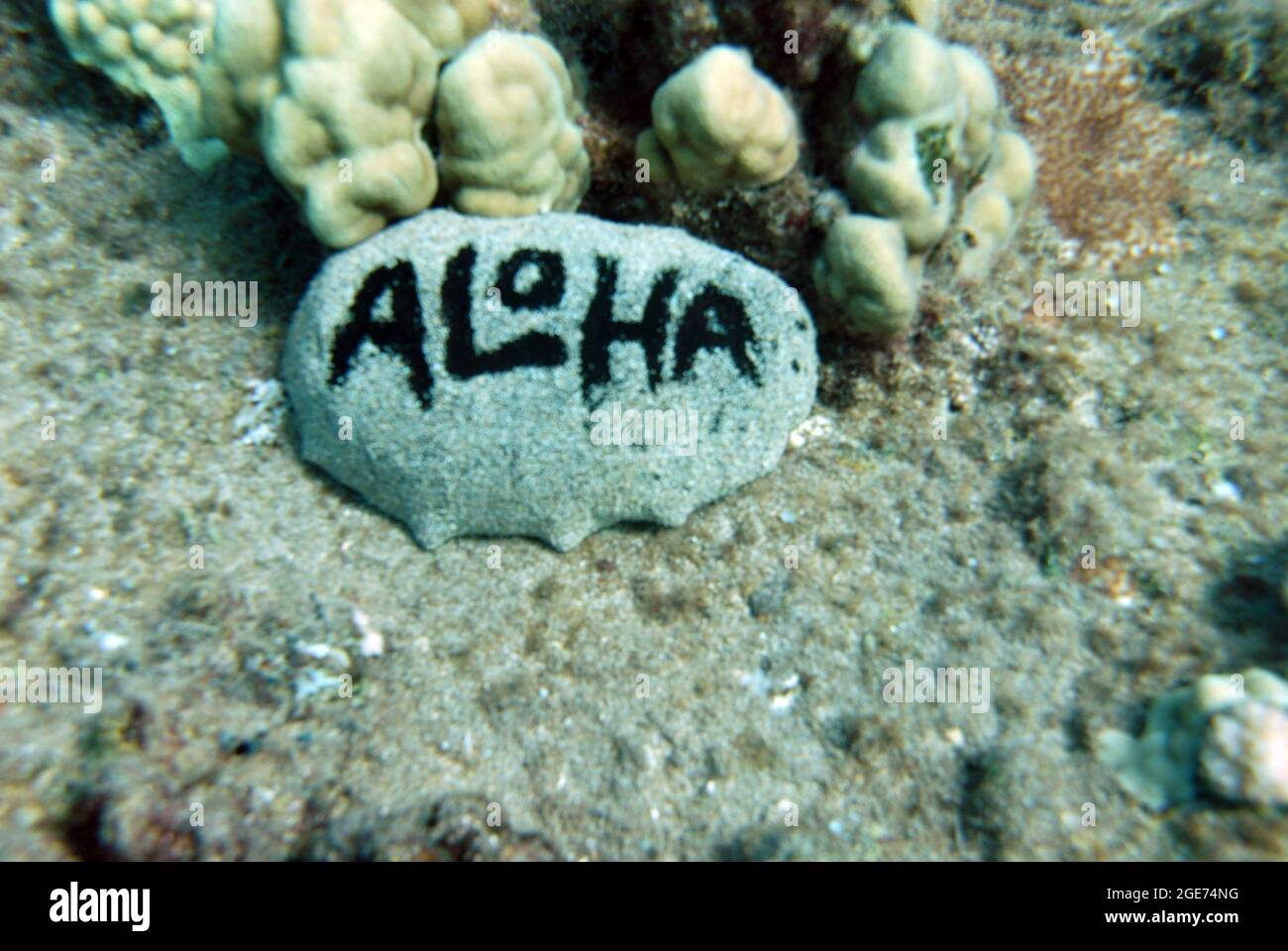 Aloha on rocks underwater hi-res stock photography and images - Alamy