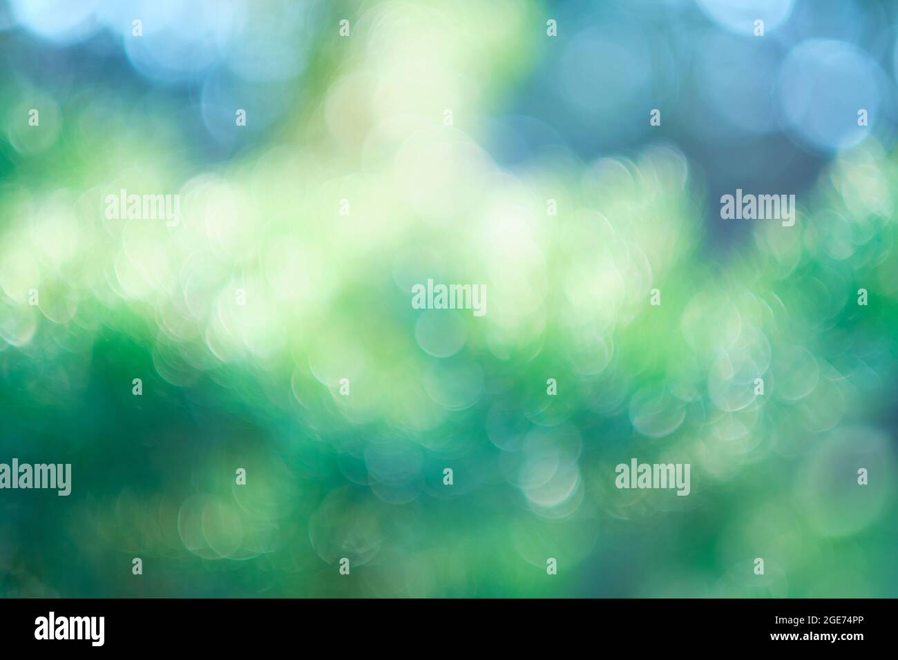 Abstract green background, bright summer background of greenery and nature Stock Photo - Alamy