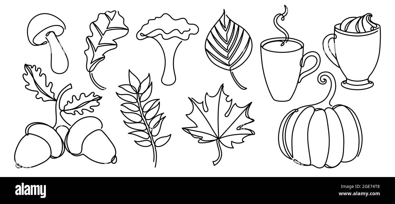 Set with autumn leaves in a line art style Stock Vector Image & Art - Alamy