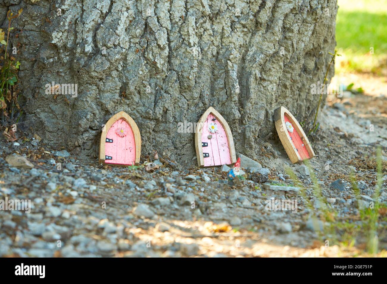 Door mice hi-res stock photography and images - Alamy
