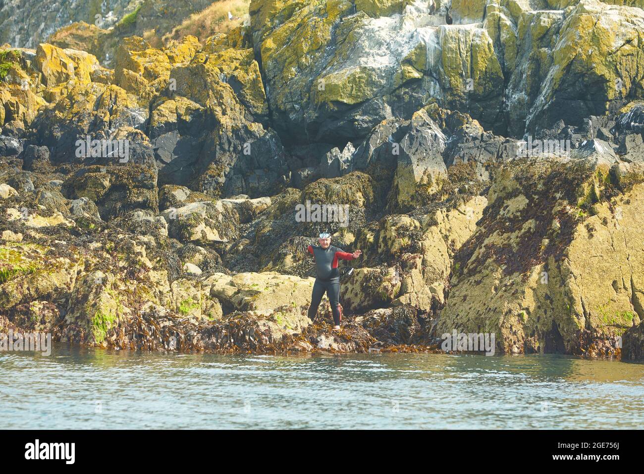 Deep sea diver out of water hi-res stock photography and images - Alamy