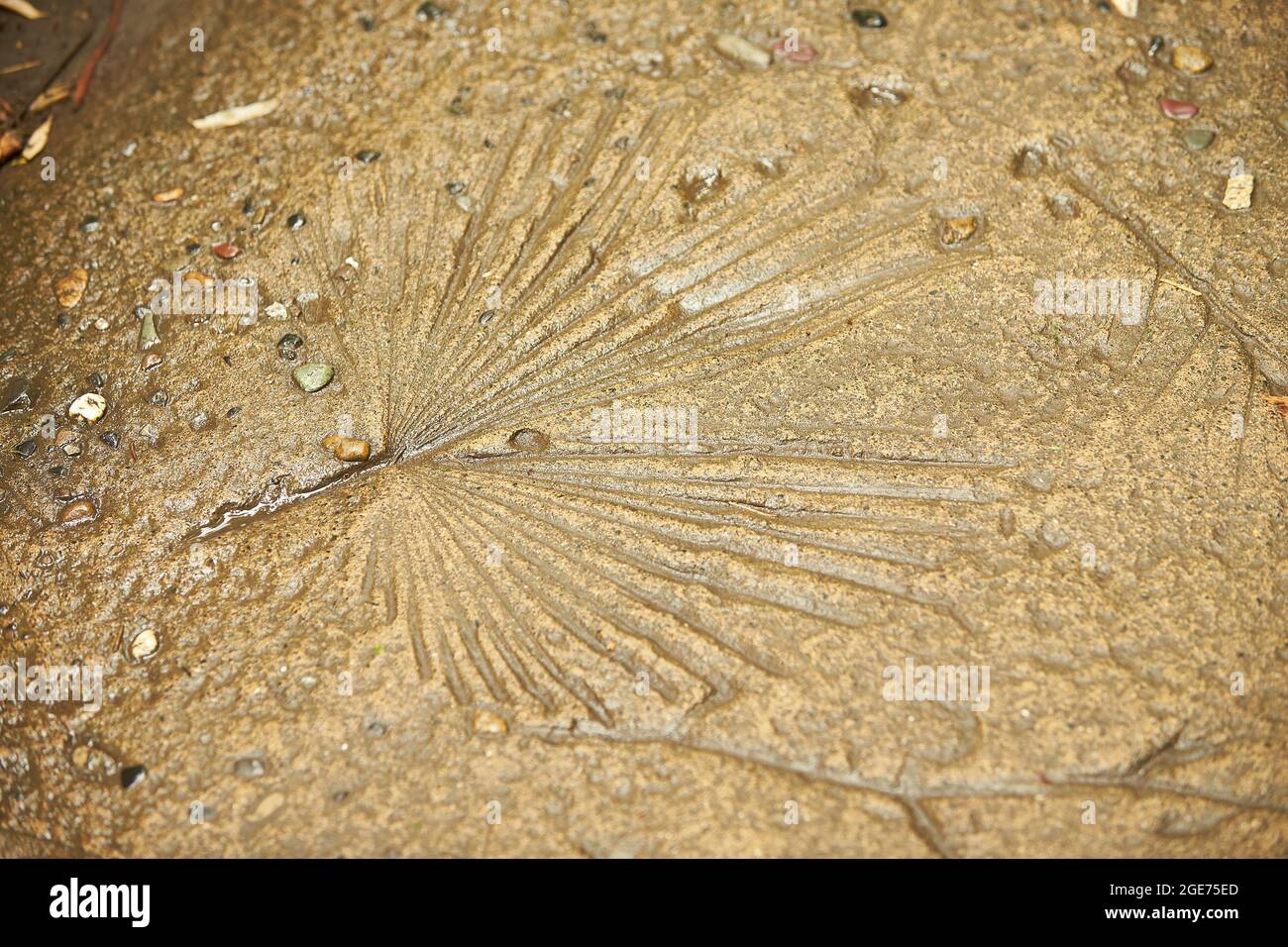 Stamped concrete hi-res stock photography and images - Alamy