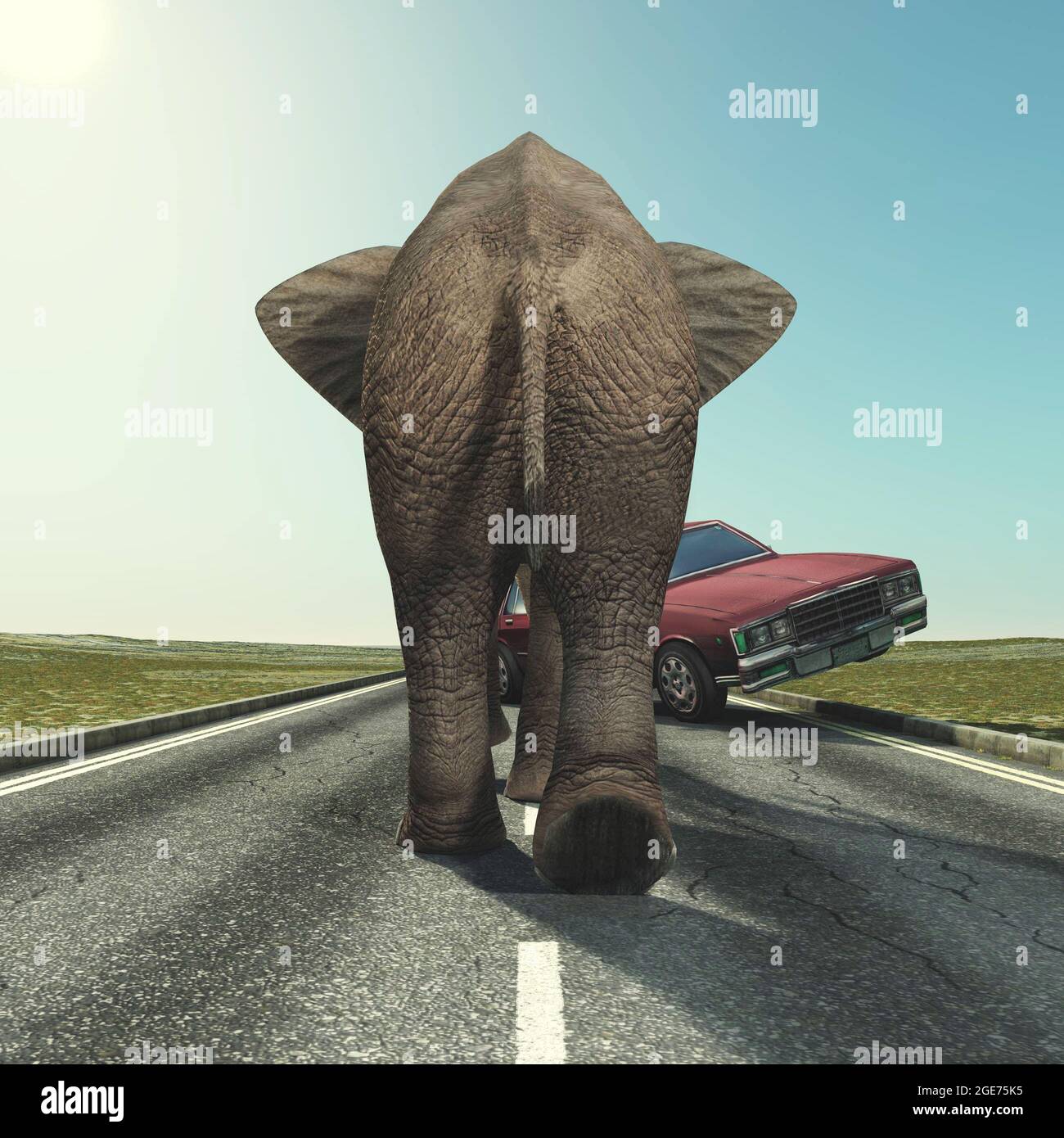 Safari vehicle in front elephant hi-res stock photography and images ...
