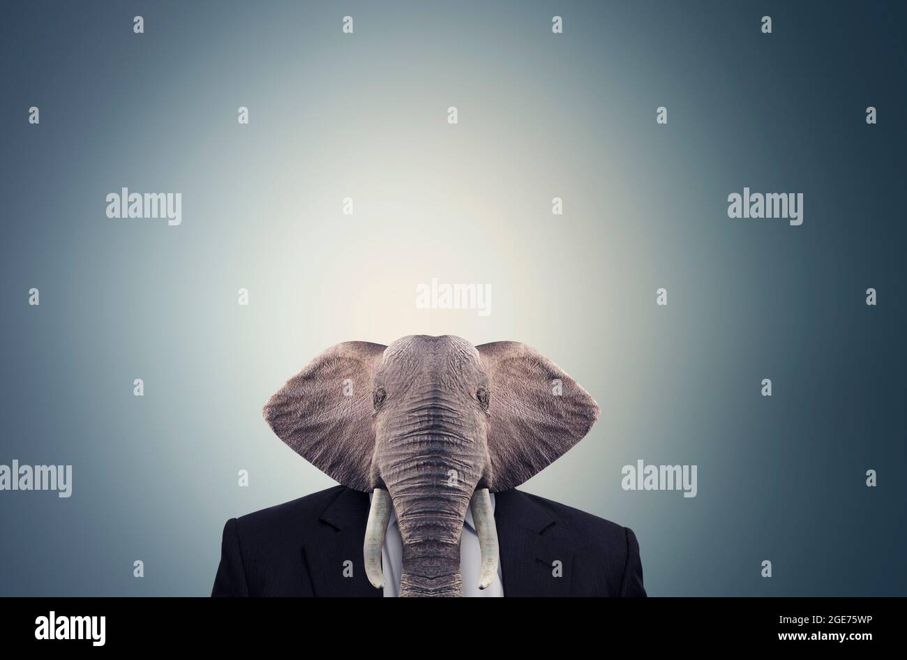Formal elephant hi-res stock photography and images - Alamy