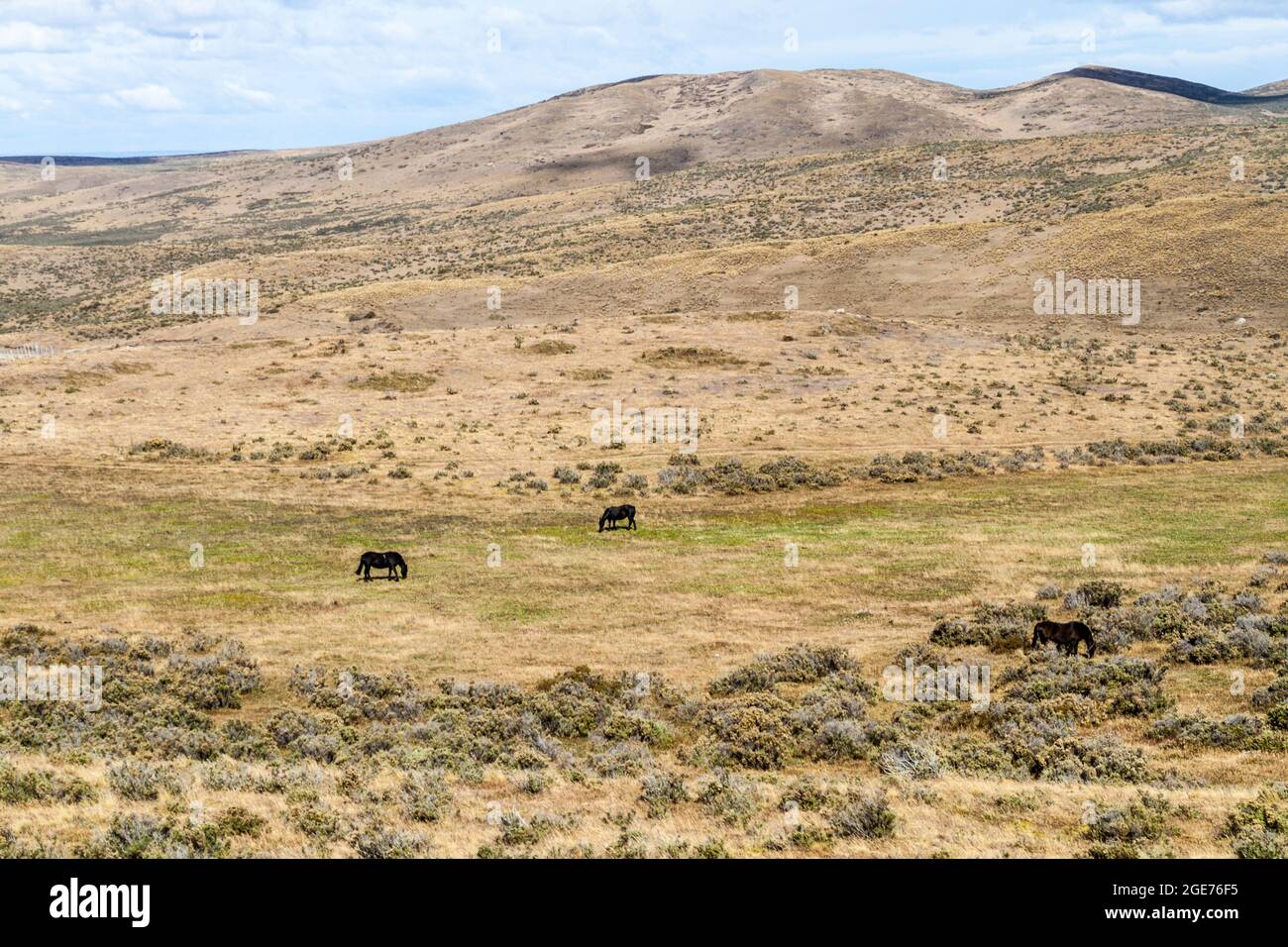 Countryside of Tierra del Fuego island, Chile Stock Photo - Alamy