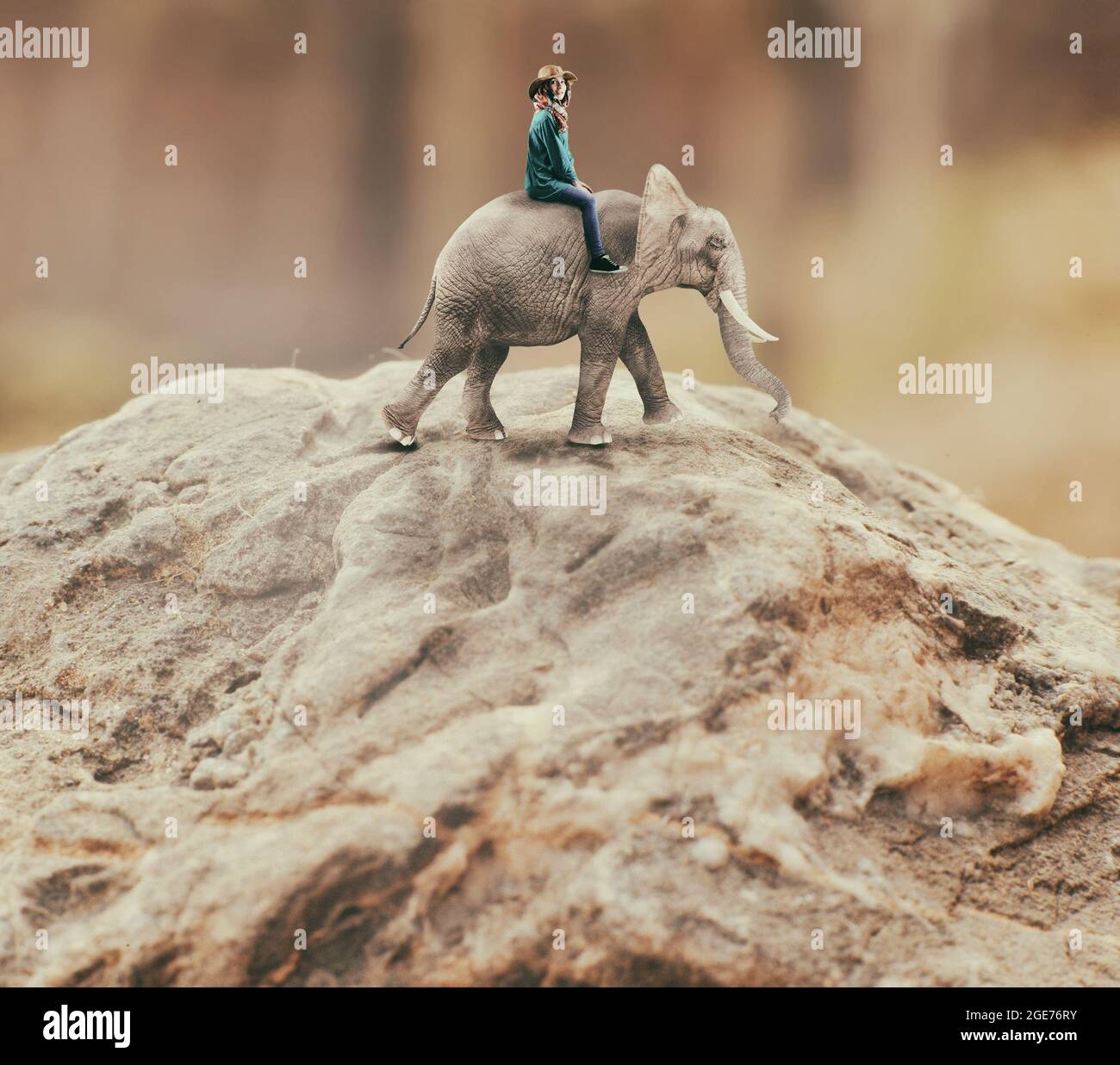 Woman riding an elephant hi-res stock photography and images - Alamy