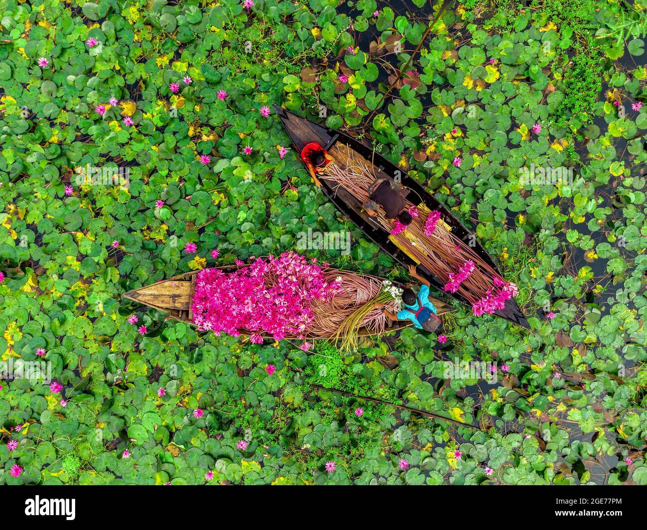 Beautiful shot river market hi-res stock photography and images - Alamy