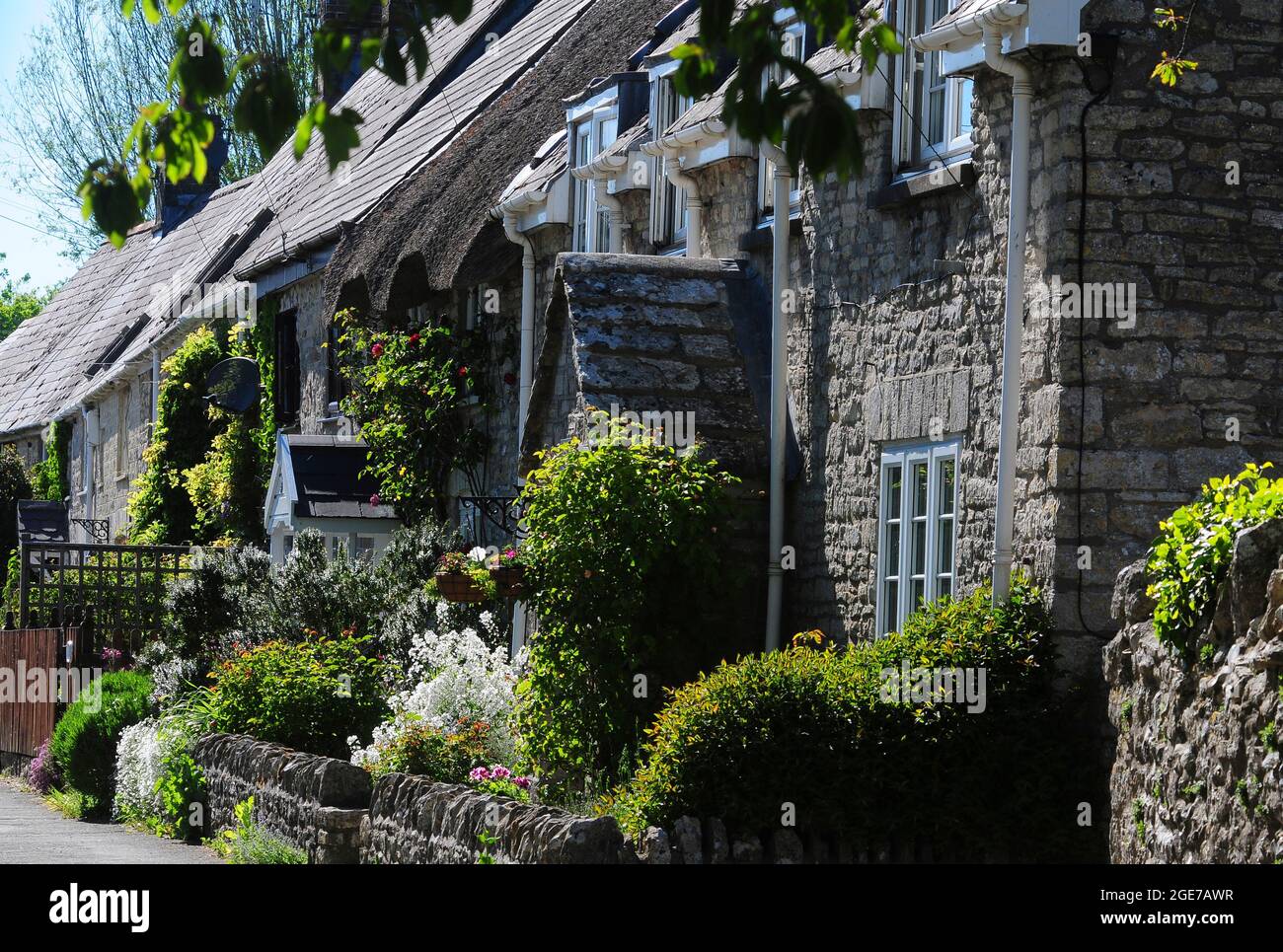 Martinstown hi-res stock photography and images - Alamy