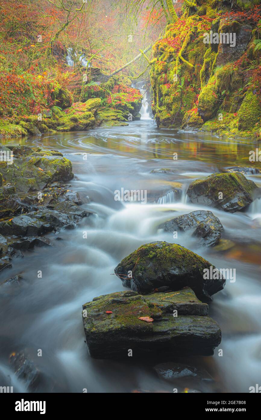 Natural stream of flowing water through a colourful gorge ravine and an ...