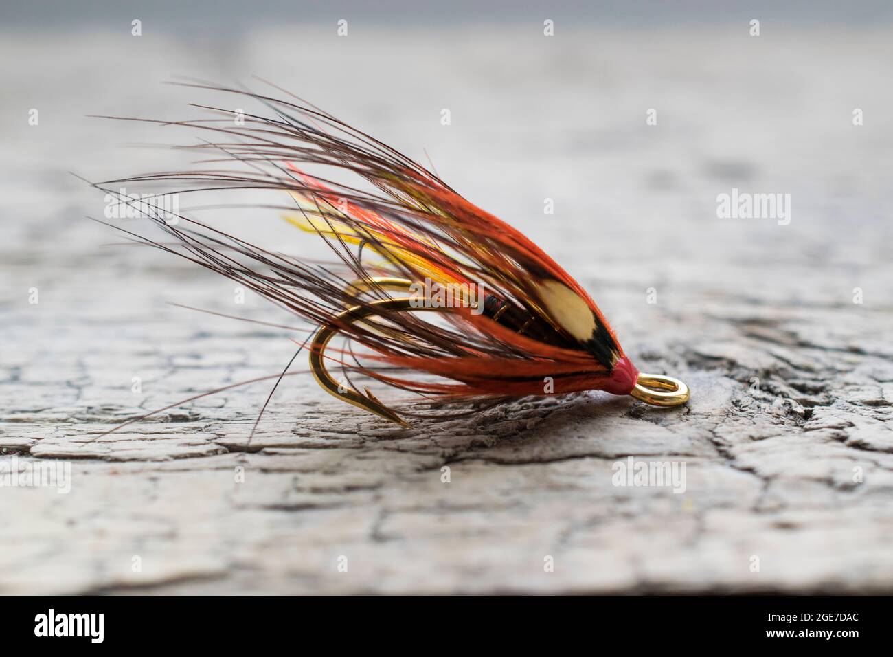 Shiny salmon fishing fly with yellow flash on a wood surface Stock ...