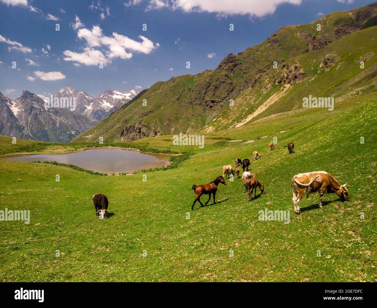 Georgia drone views Stock Photo - Alamy