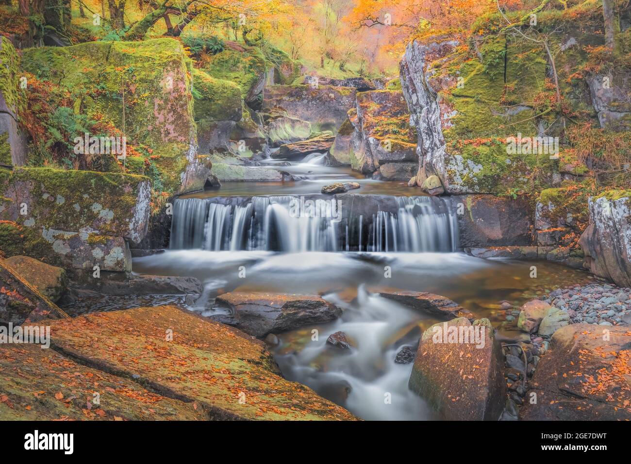 A beautiful, colourful Autumn woodland forest with waterfall and ...