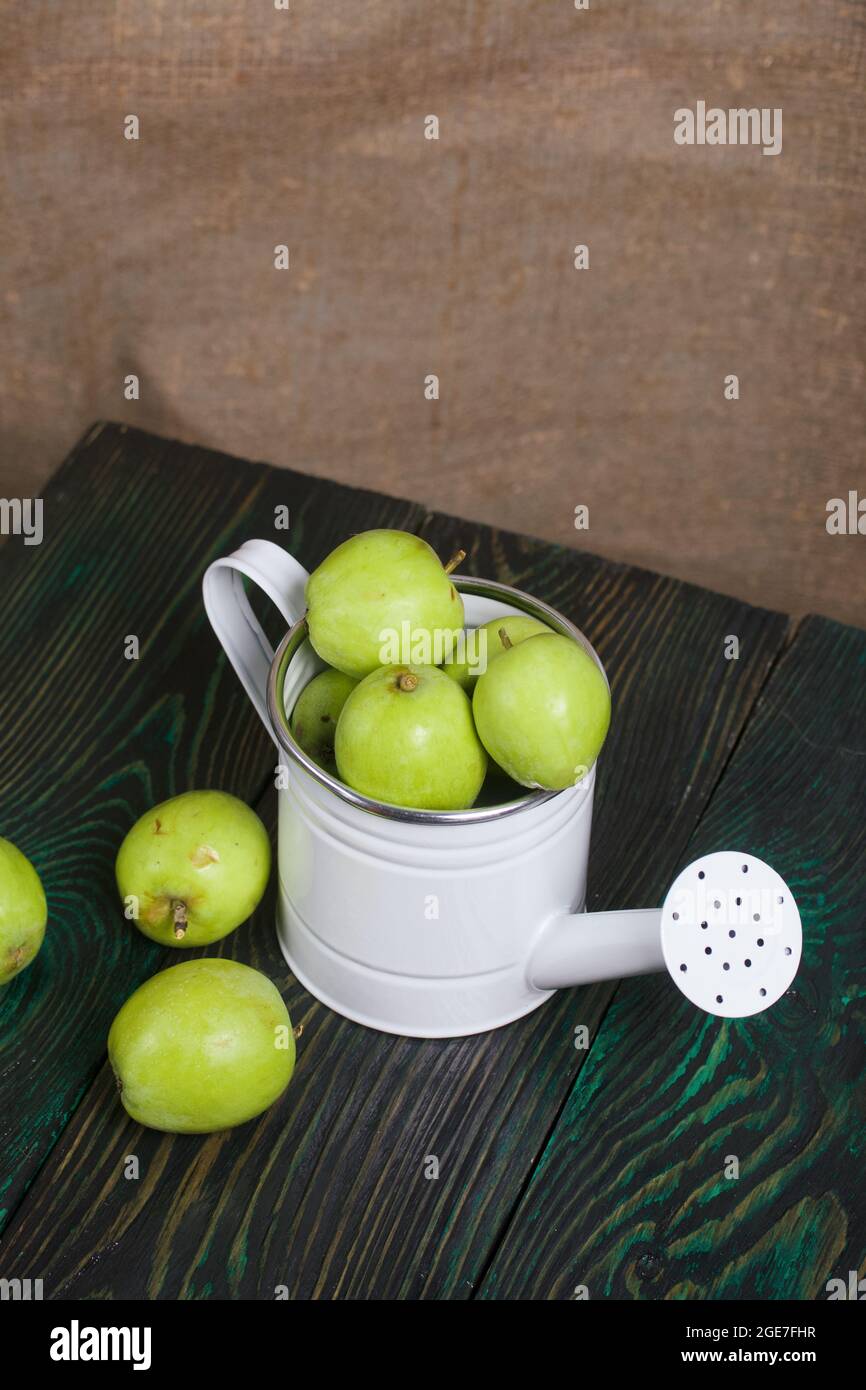 Green apples in a metal watering can. On pine boards. On a linen ...