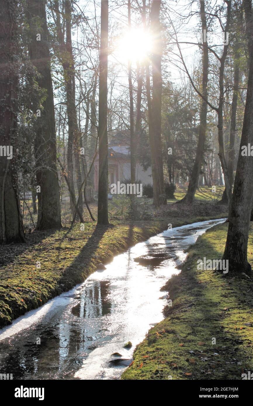 Frozen brook in forest hi-res stock photography and images - Alamy